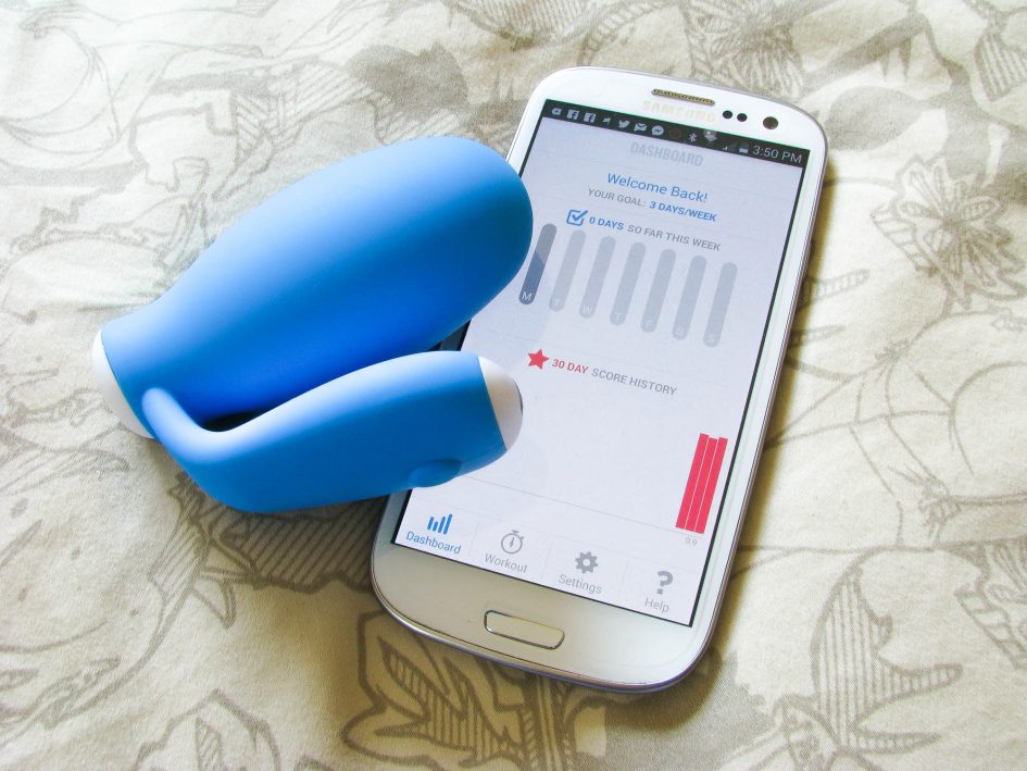Review Minna Kgoal Kegel Exerciser Vibrator Fitbit For Vagina
